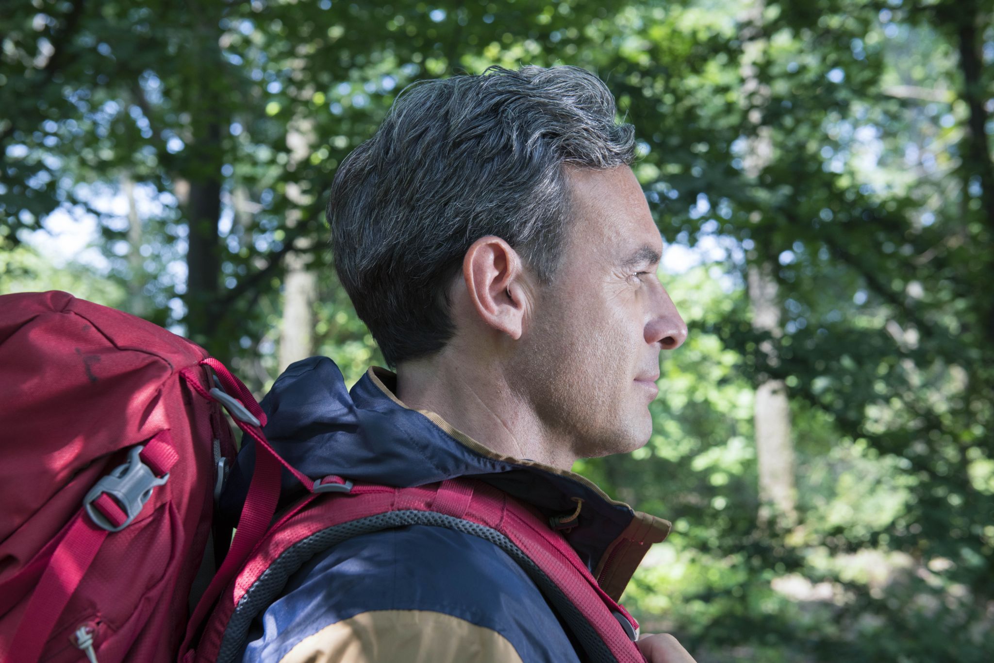 Frequency Range Audible to the Human Ear | Bay Audiology NZ